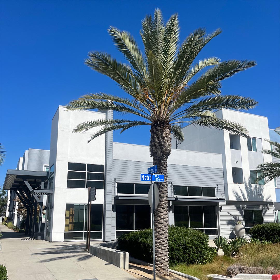 Locations – Casa De Otay